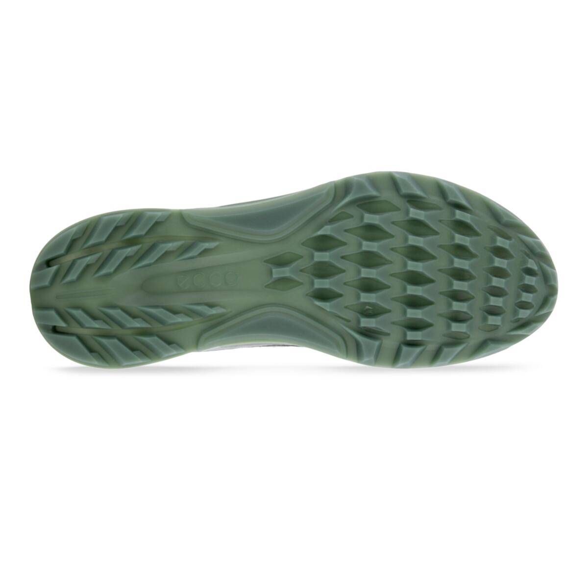 Golf - M GOLF BIOM C4 - ECCO Shoes NZ