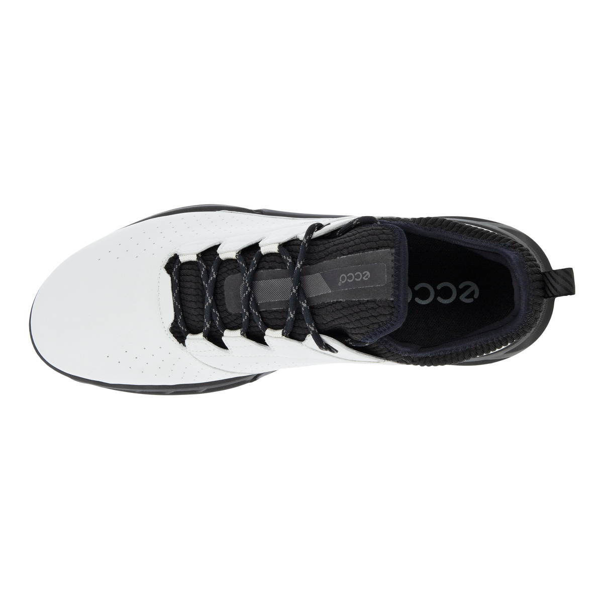Golf - M GOLF BIOM C4 - ECCO Shoes NZ