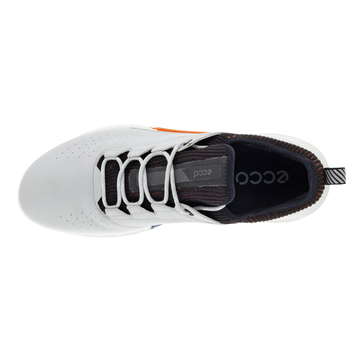 Golf - M GOLF BIOM C4 - ECCO Shoes NZ