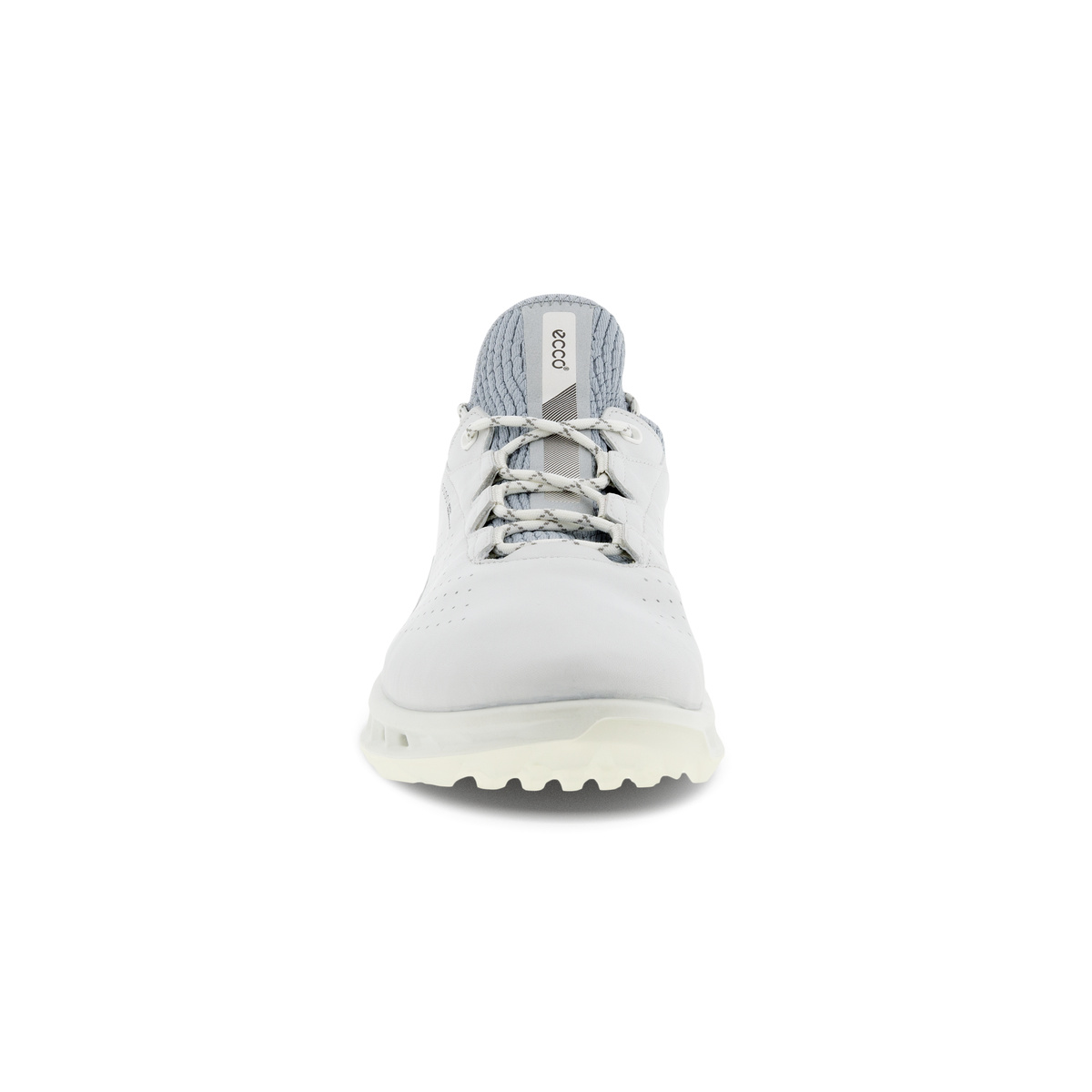 Golf - M GOLF BIOM C4 - ECCO Shoes NZ