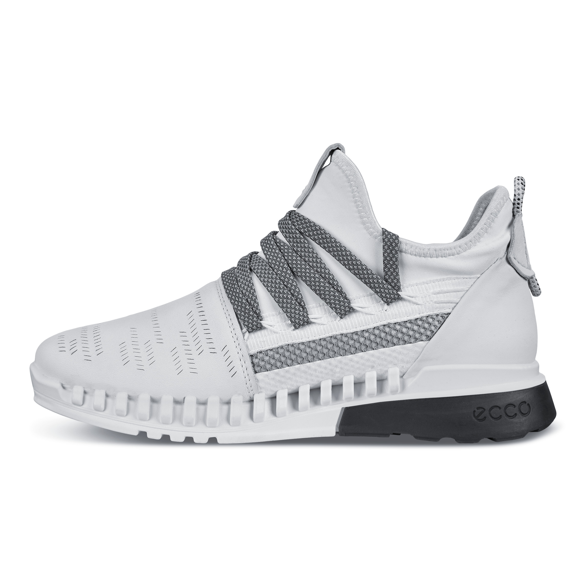 Walking - ZIPFLEX W - ECCO Shoes NZ