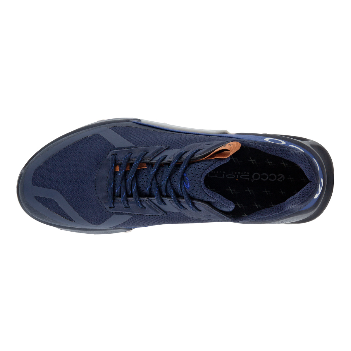 Outdoor - BIOM 2.1 X COUNTRY M - ECCO Shoes NZ